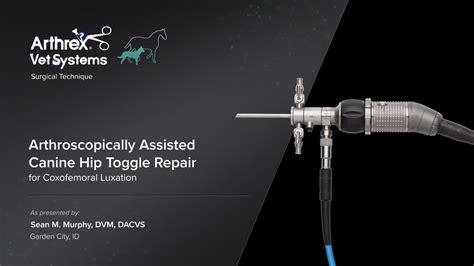 Arthrex Arthroscopically Assisted Canine Hip Toggle Repair