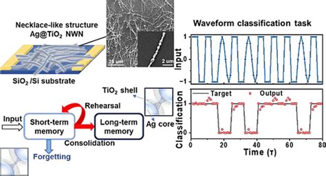 Memristive Devices Based On Necklace Like Structure Ag Tio2 Nanowire Networks For Neuromorphic