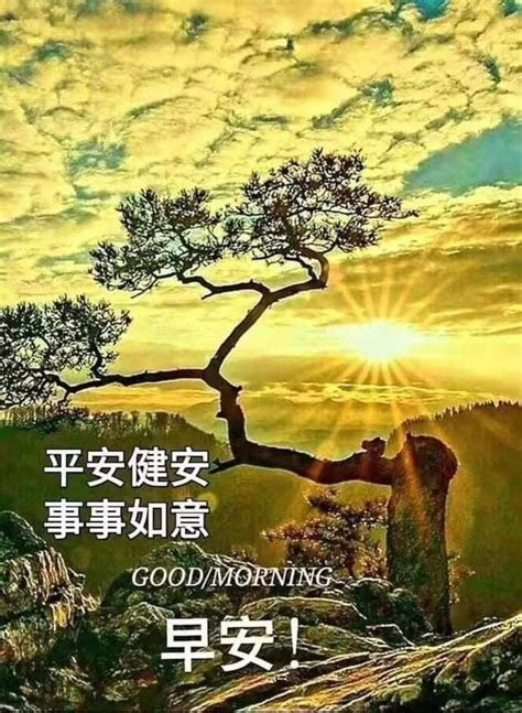 Pin de Thomasliu en 早上好