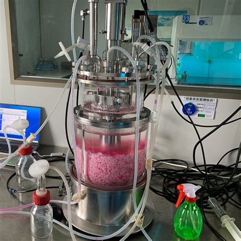 5l Lab Bioreactor Prices Ritai Bioreactor