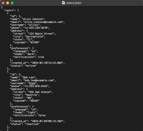 How To Open And View A Json File Simple Steps For Beginners Tokie