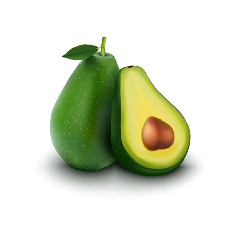 Aguacate Vectores Iconos Gráficos Y Fondos Para Descargar Gratis