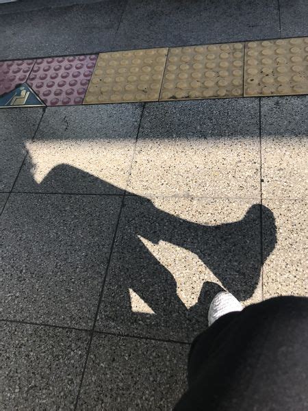 오효심 DH 교육용 위키