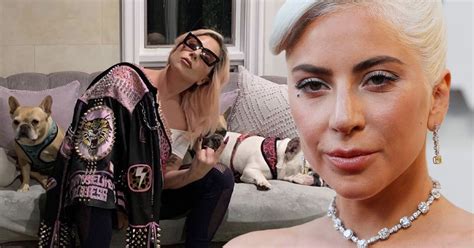 Old Lady Gaga Songs Reveal The Complicated Truth About Her Life And Career