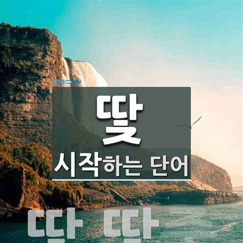 땇으로 시작하는 단어는 2개