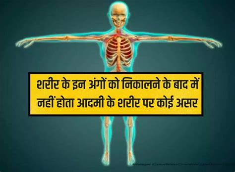 Human Body शरीर के इन अंगों को निकालने के बाद में नहीं होता आदमी के