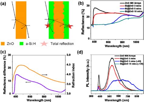 A The Transmission Path Of Light As It Enters A Zno Nanowire Left Download Scientific