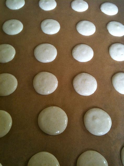 Heidis Mix Toasted Coconut Macarons