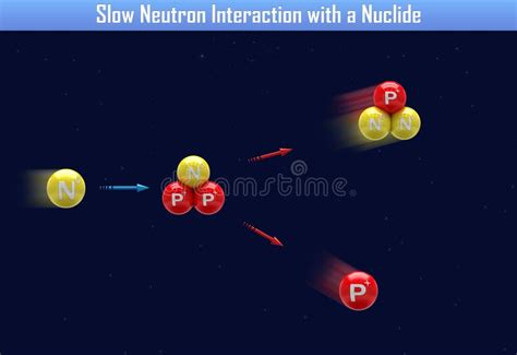 Slow Neutron Interaction With A Nuclide Stock Illustration Illustration Of Proton Heavy