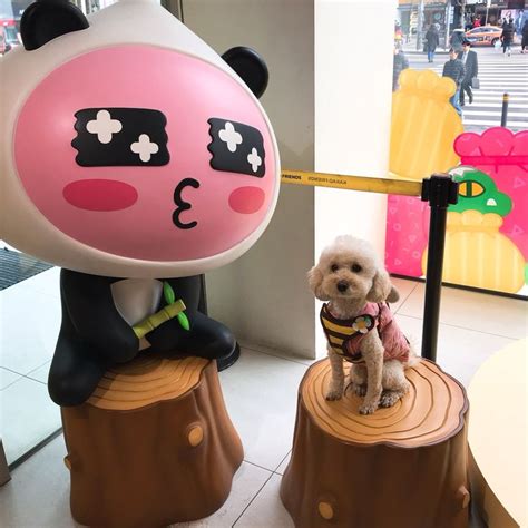 Pin By Jessica Lin On Daizzy Decor Home Decor High Chair