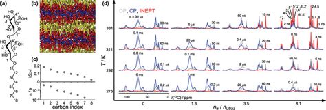 Structures Molecular Dynamics Simulations And Nmr Data For The