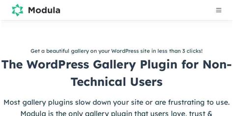modula speed up pluginsforwp