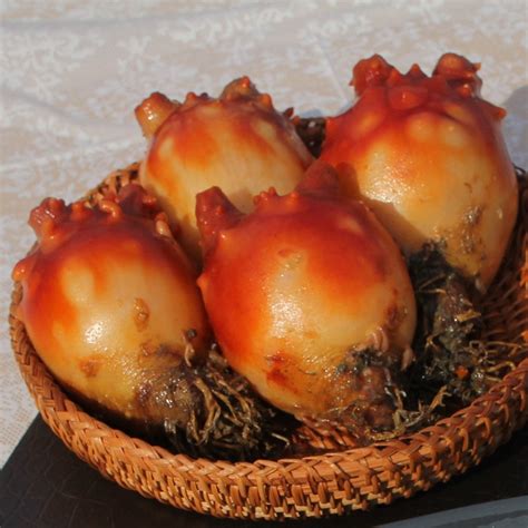 제철 봄 활멍게 2kg 외 가리비 홍합 비단가리비 바지락 모음전 티몬