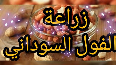 زراعة الفول السوداني Youtube