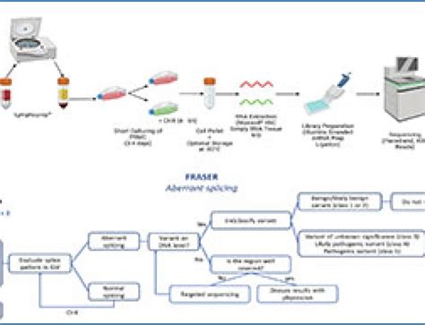 Seuratextend Streamlining Single Cell Rna Seq Analysis Through An