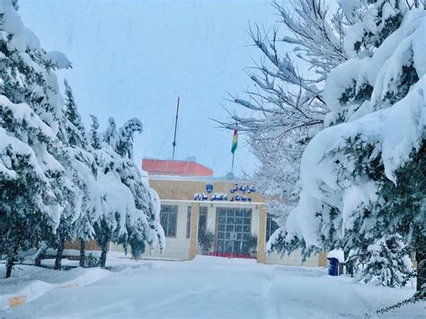 ‫soran Technical Institute فێرخوازانی کۆلێژی تەکنیکی سۆران Facebook‬