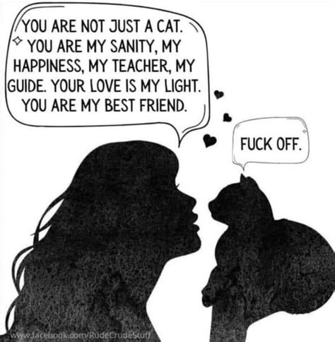 Sunday Funnies Cats Wyzguys Cybersecurity