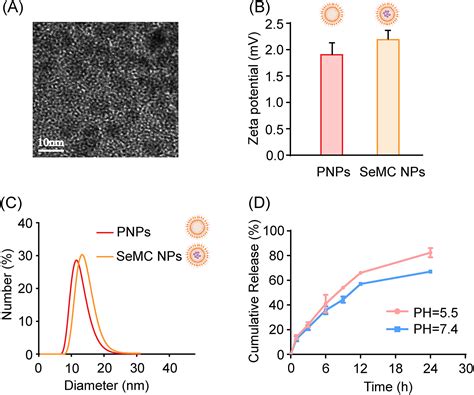 Cell Proliferation Cell Biology Journal Wiley Online Library