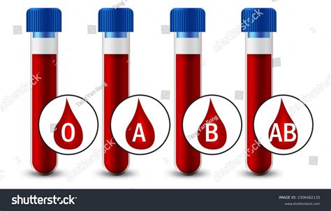 Human Blood Group Photos And Images Shutterstock
