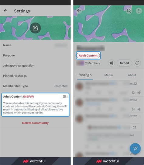 X Is Testing Nsfw Adult Communities According To Screenshots Techcrunch
