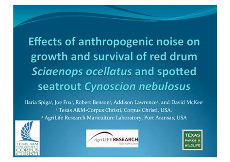Effect Of Anthropogenic Noise Pdf
