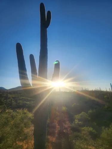 Best Forest Trails In Sweetwater Preserve Alltrails