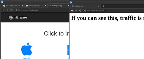 Install Mitm Proxy On Any Linux The Easy And Proper Way Man In The