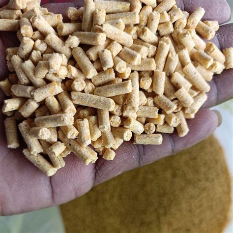 Cattle Feed At ₹ 40kg Cattle Feed In Bhopal Id 2851934173712