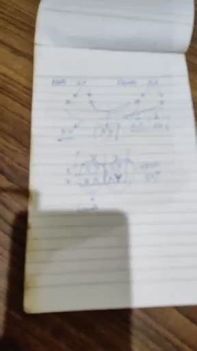 Ii With The Help Of A Flowchart Only Show How Sex Is Genetically Deter
