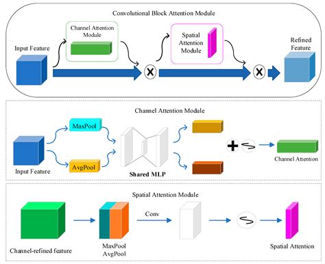Sc Diatomnet An Efficient And Accurate Algorithm For Diatom Classification