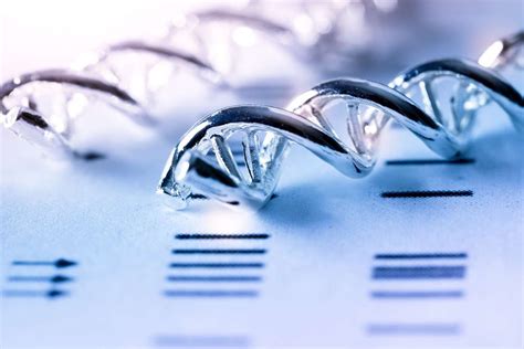 How Does The Drug Development Process Works 5 Stages The