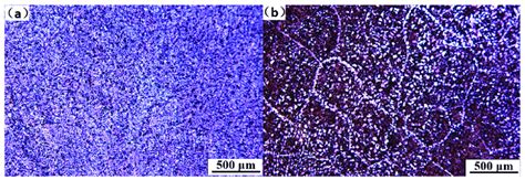 Microstructure Of The Corner Of The Continuous Slab A Microstructure