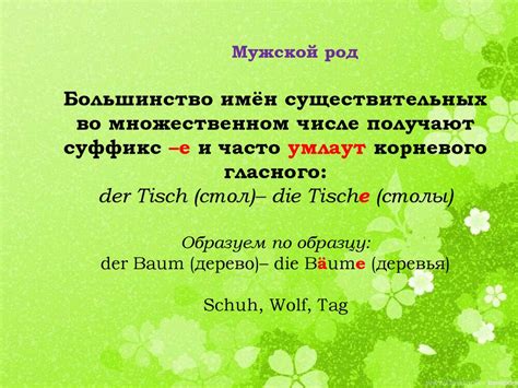 Образование множественного числа имён существительных в немецком языке