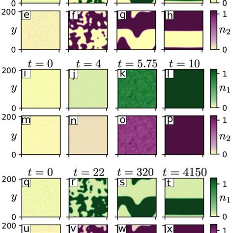 numerical simulation after the t 0 for ω −0 1 the simulations are
