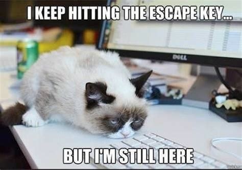 25 Best Technology Memes The Funniest Tech Memes On The Web Techadvisor