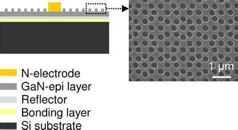 Schematic Drawing Of Pqc Tfleds And Sem Image Of Pqc Surface Morphology Download Scientific
