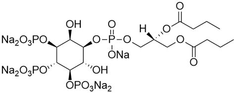 Phosphatidylinositol Membrane