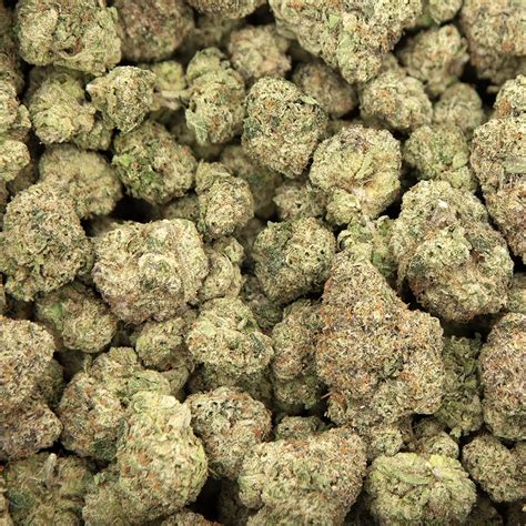 Bubble Gum Runtz Strain Delivery In Los Angeles Buy Online