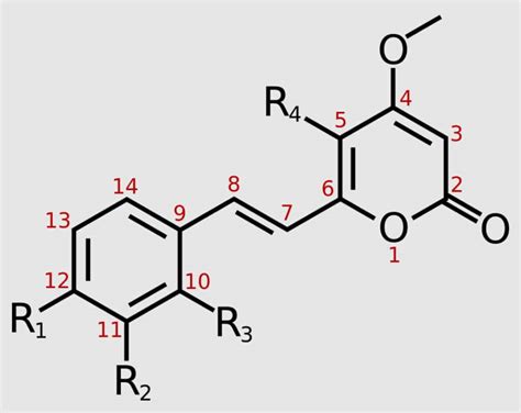 What Is Instant Kava What Is Kava