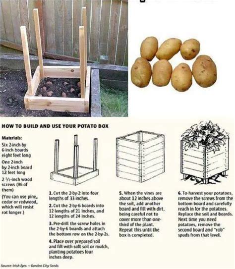 How To Build The Best Potato Box Ever Mental Scoop