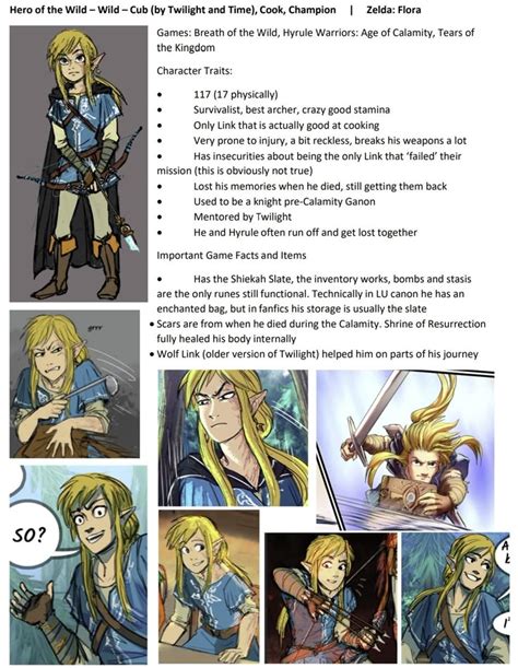Pin By Kirsch James On Loz Legend Of Zelda Memes Zelda Funny Legend