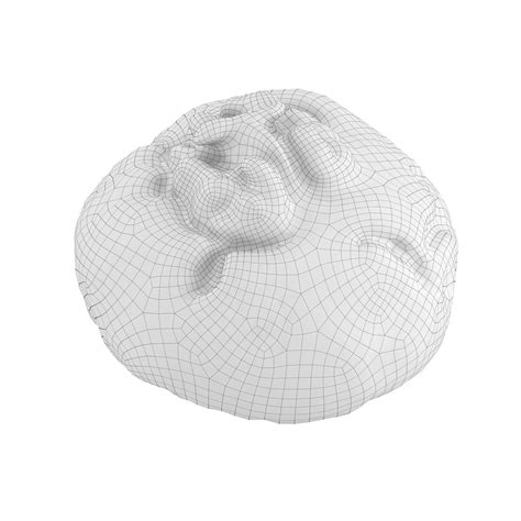 Cookie D Model CGTrader