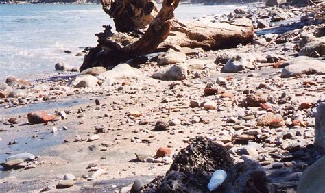 Haroldo Cabrera Abarzúa Fusilado El 19 10 73