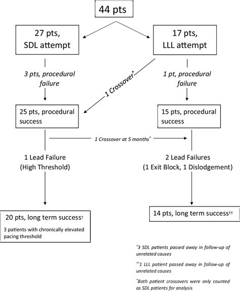 Patient Flow Chart Lll 5 Lumen Less Lead Pt 5 Patient Sdl 5 Download Scientific Diagram
