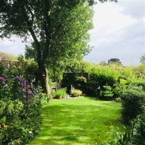Menheniot Gardens National Garden Scheme Liskeard Visit 18