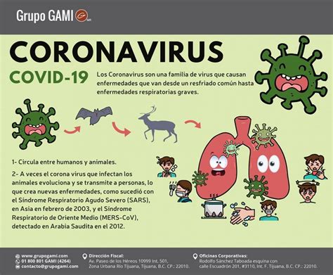 Coronavirus Covid 19 Todo Lo Que Hay Que Saber Por Gami
