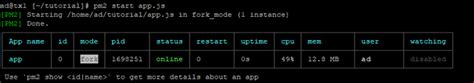Process Manager Node Js Tutorial Fastcomet