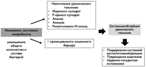 Consequences Of Altered Gut Microbiota Download Scientific Diagram