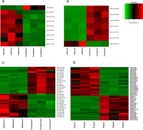 Expression Profile Of The Sex Associated Known Mirnas Differential