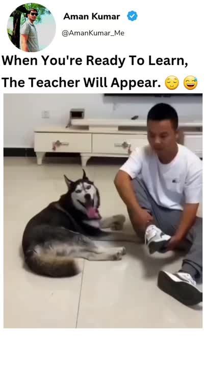 Shahrukh Khan Qureshi Posted On Linkedin